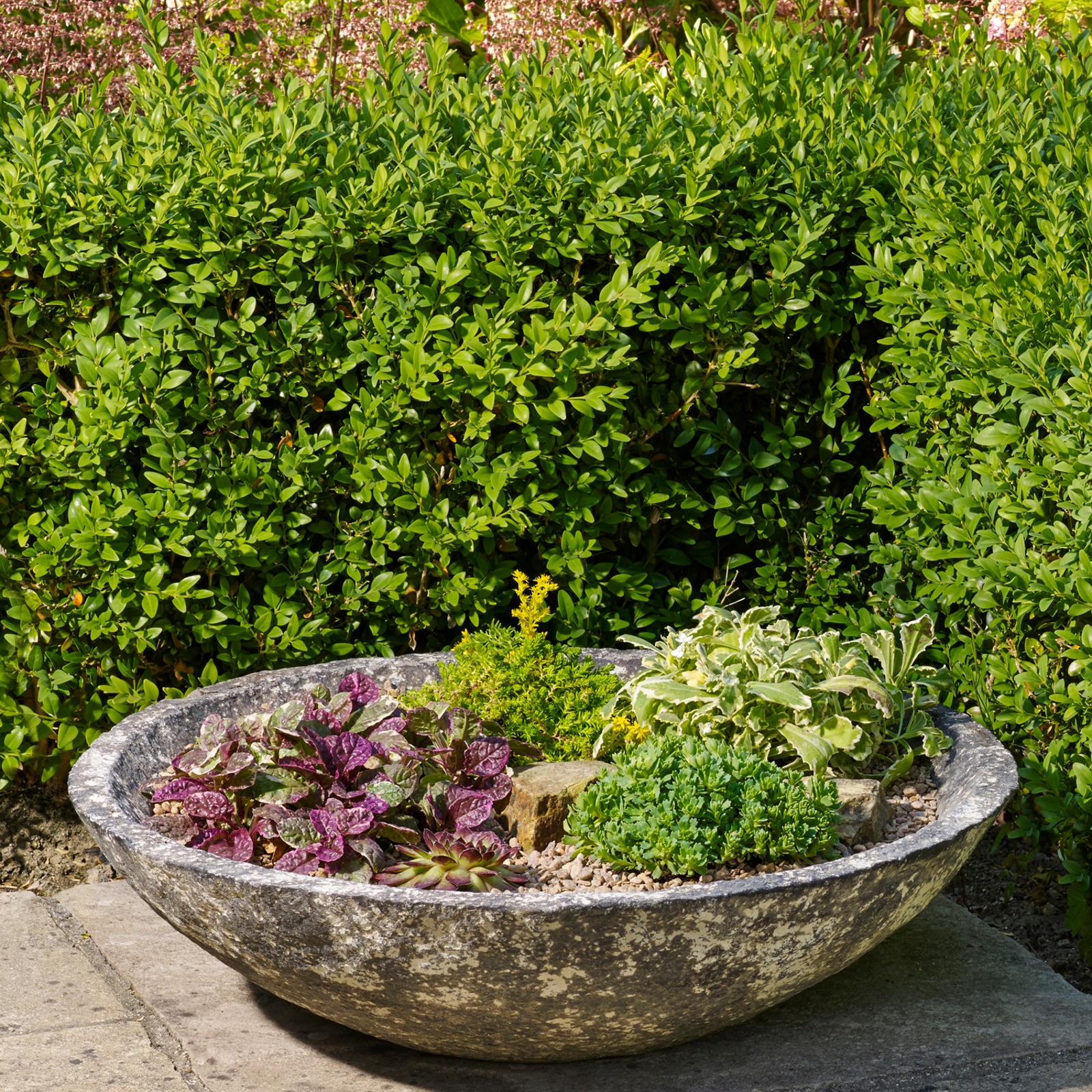 Alpine Low Bowl - AP2 - Alpine Collection - More Than Pots
