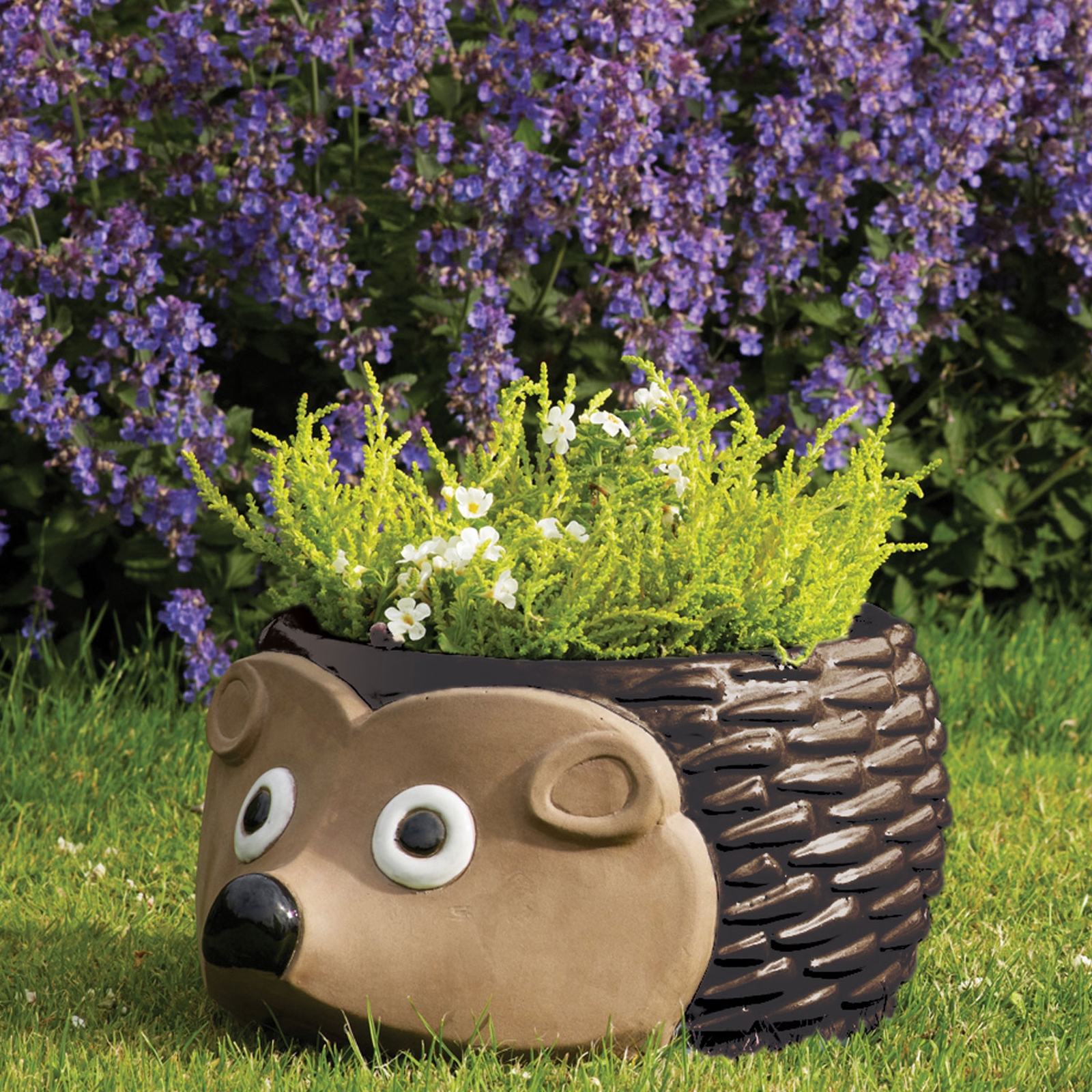 Glazed Brown Hedgehog Planter L37cm x D27cm x H18cm - GO21 - Riverhill ...