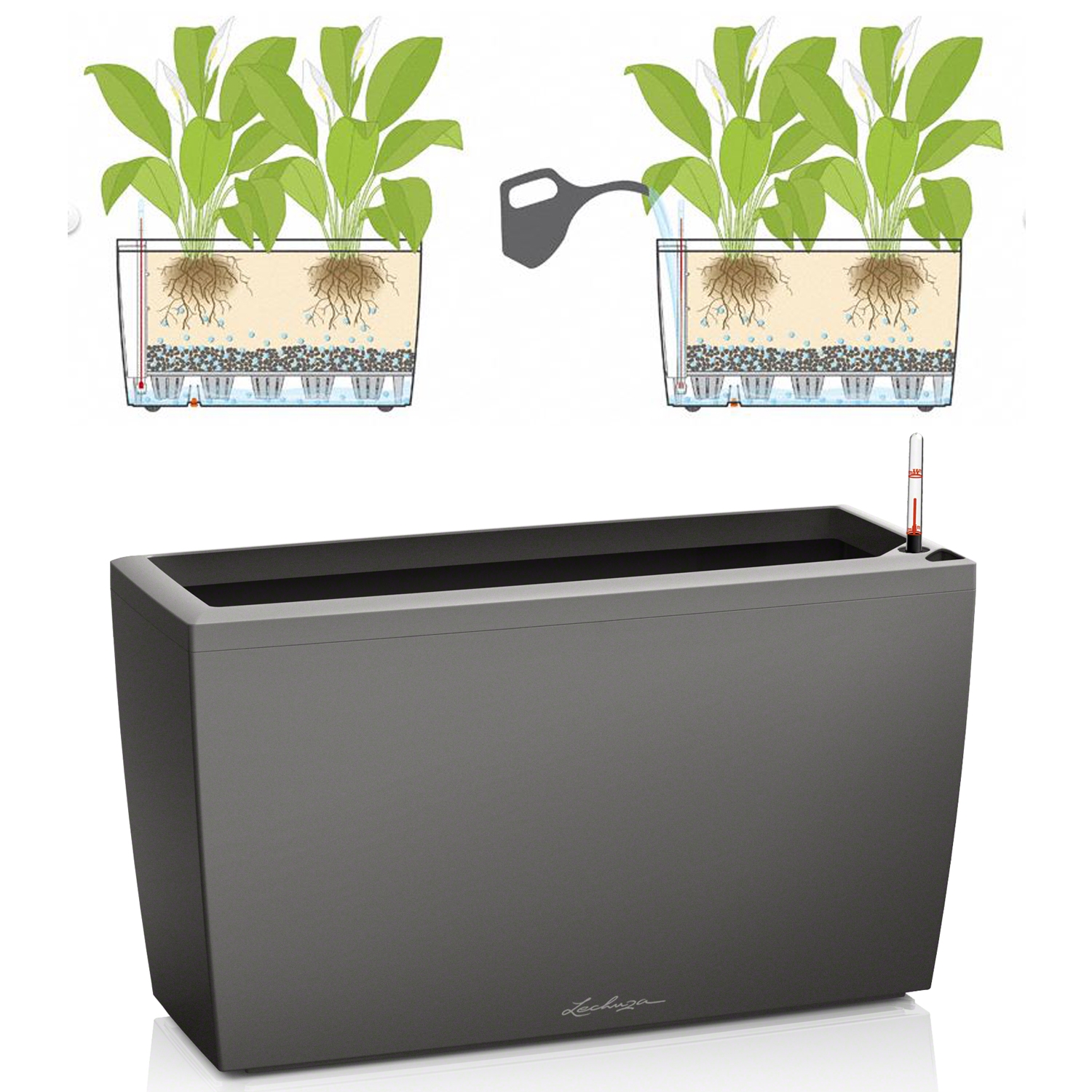 Charcoal Cararo Trough - CHSW - Lechuza Professional - More Than Pots