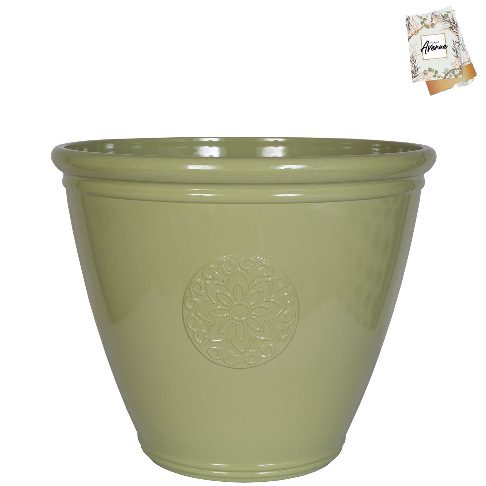 Recycled: Eden Emblem Green Pot (2 sizes) - 99052 - Plant Avenue - More ...