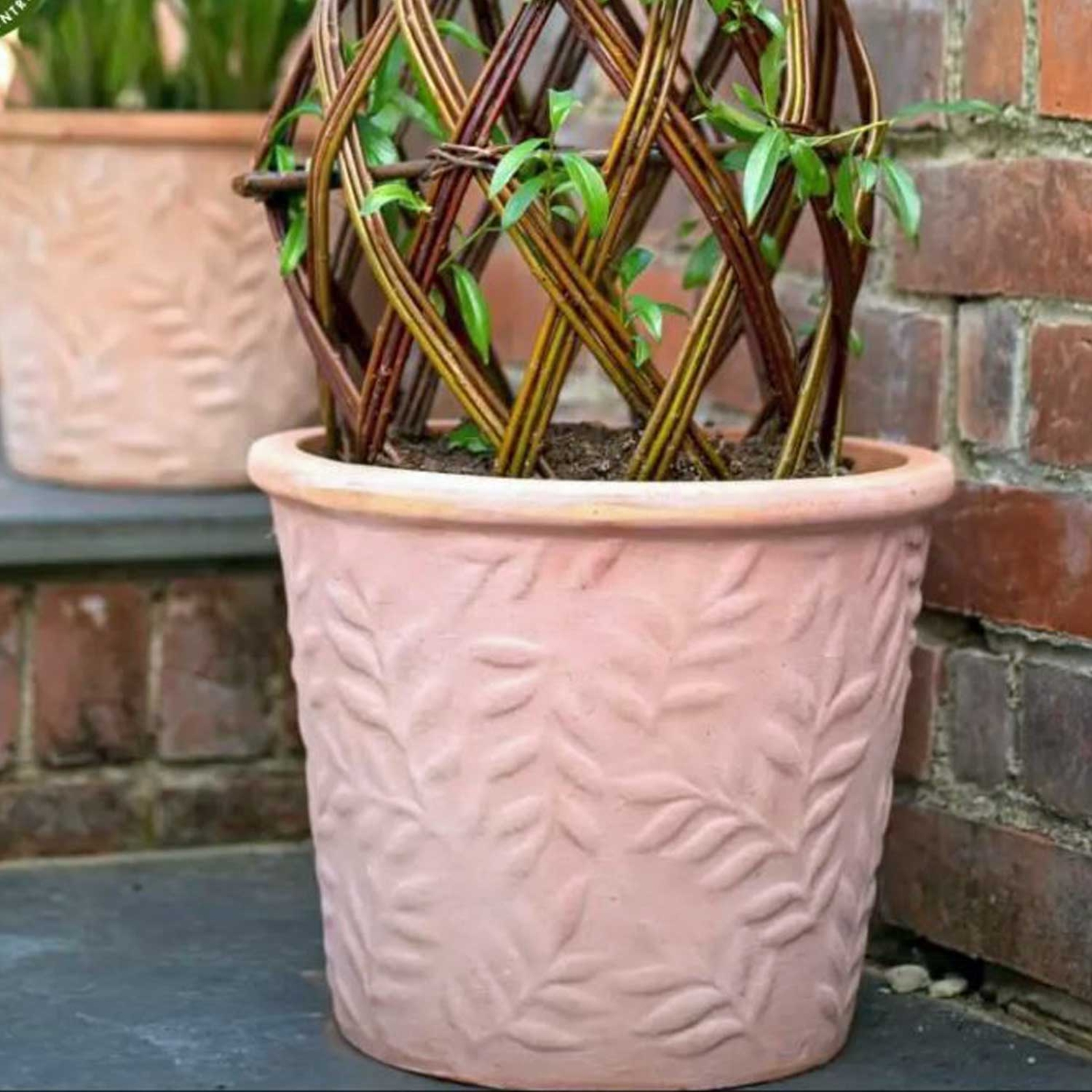 Terracotta Vine Pot (4 sizes) - TVP - Riverhill Garden Supplies - More ...